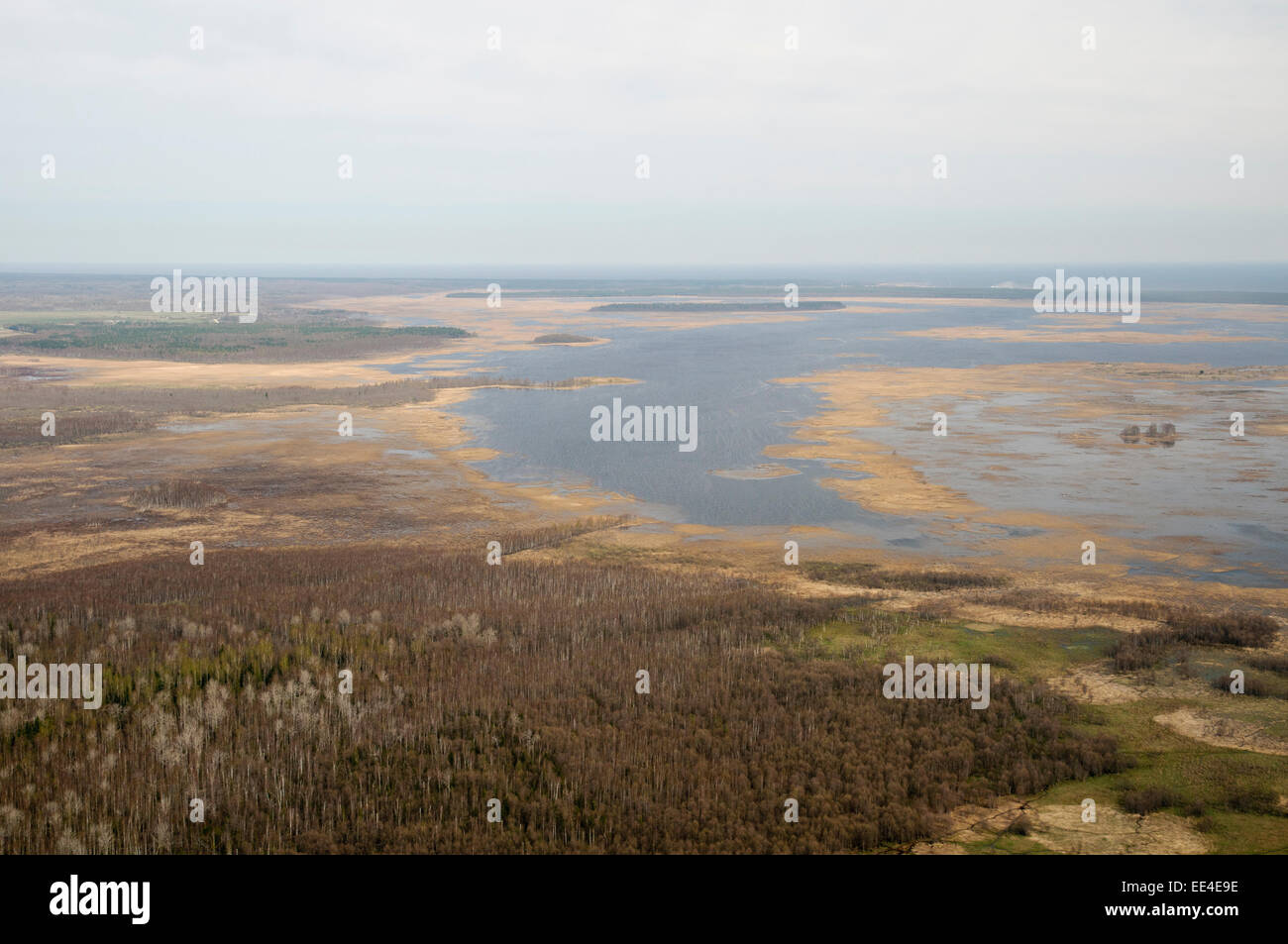 Aerial view of Lake Engure nature park Stock Photo - Alamy