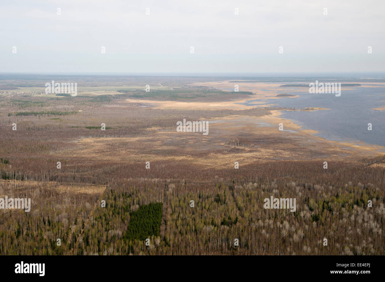 Aerial view of Lake Engure nature park Stock Photo - Alamy