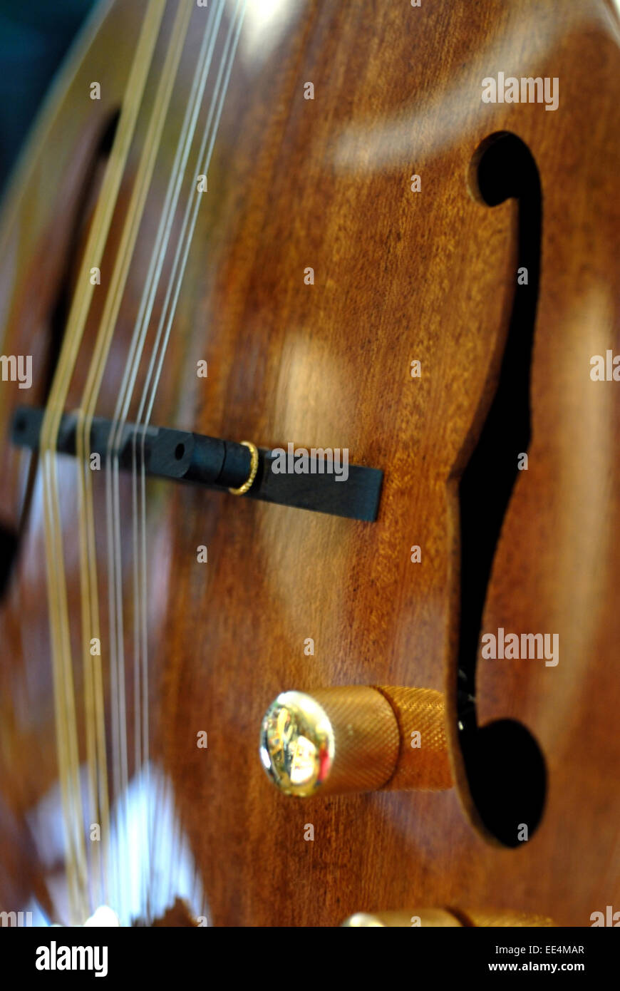 violin / Musical Instrument Stock Photo - Alamy