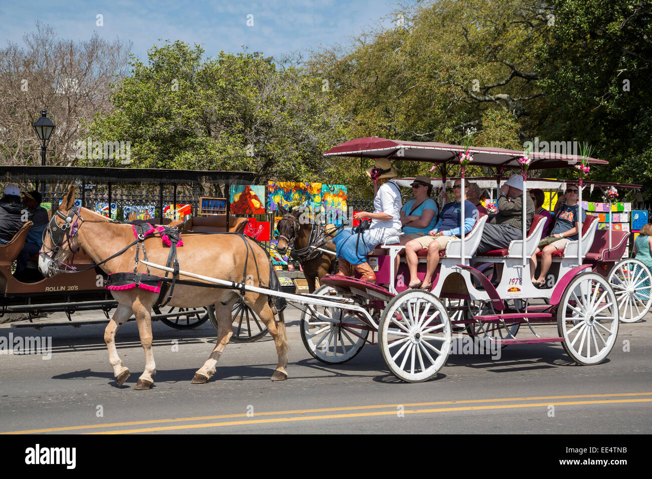 New orleans french quarter carriage hi-res stock photography and images ...