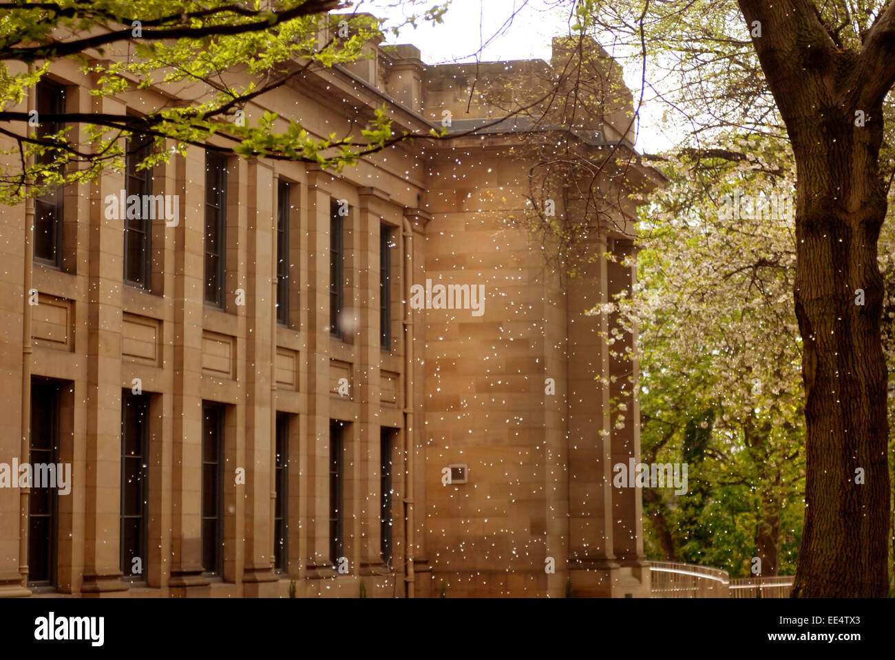 The Great North Museum - Hancock Museum Stock Photo - Alamy