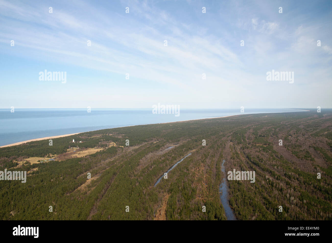 Baltic coastal forests of the nature reserve "Ances purvi un mezi" un ...