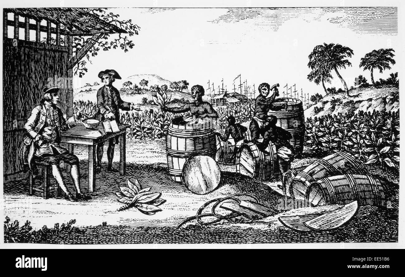 Tobacco Being Exported from Jamestown, Virginia, Engraving, 1620 Stock ...
