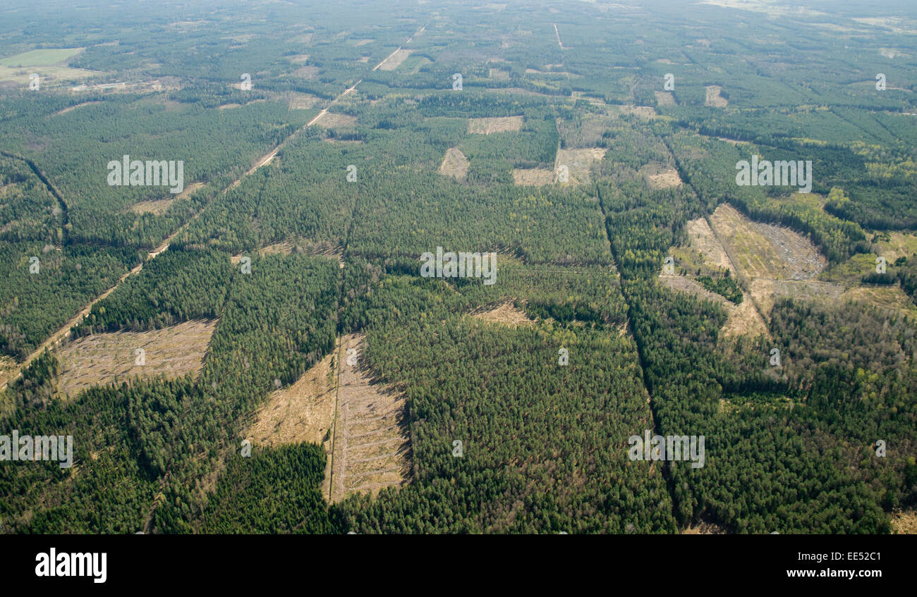 Deforestation forest fragmentation hi-res stock photography and images - Alamy