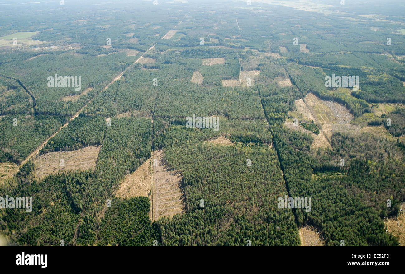Forest clear cutting aerial view hi-res stock photography and images ...