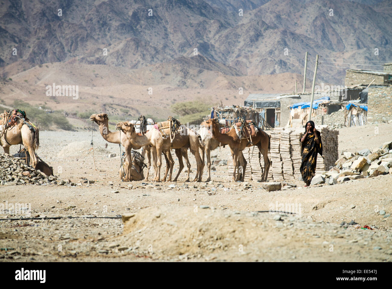 street scene in the Berhale, Danakil desert, Afar, Ethiopia Stock Photo ...