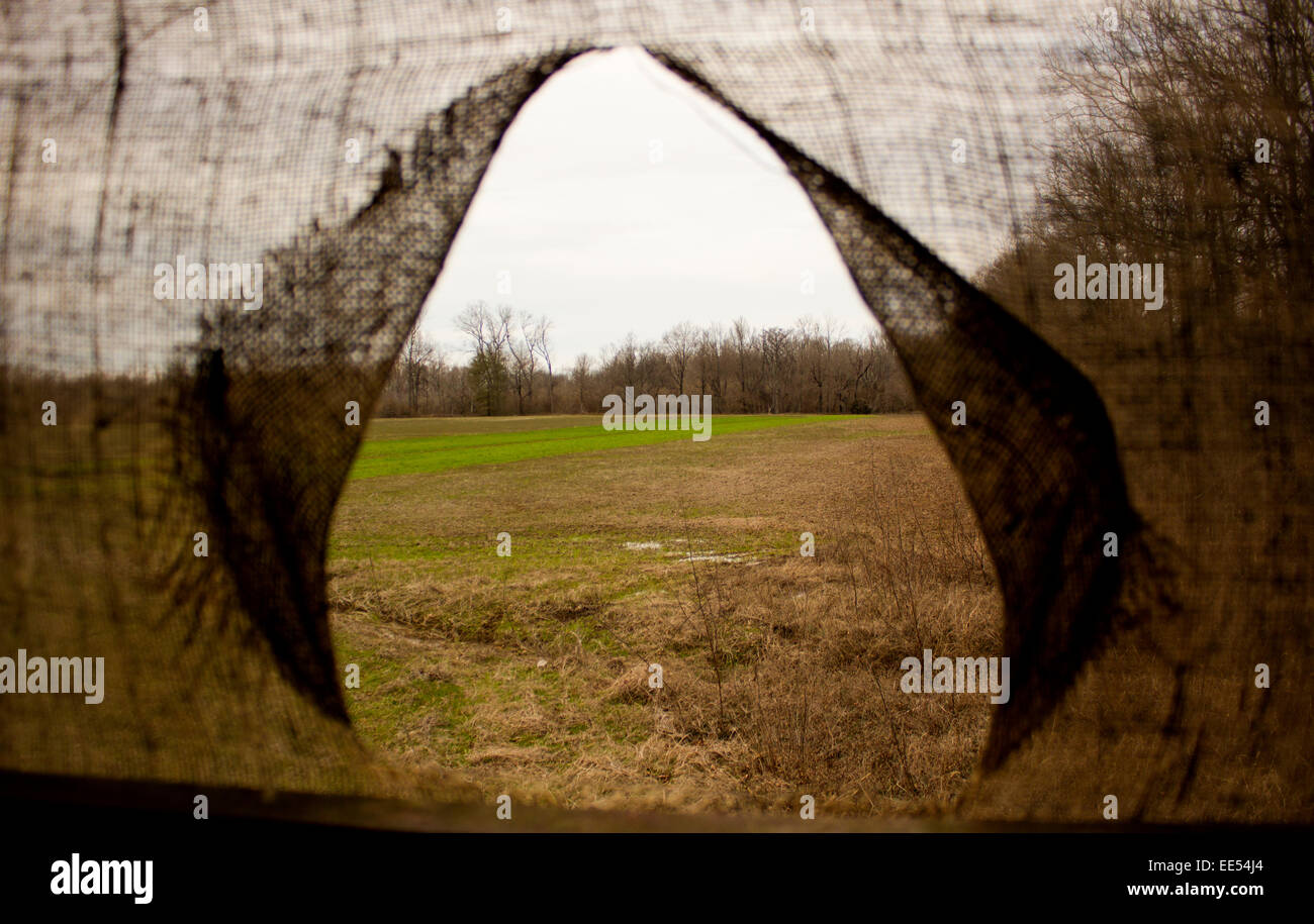 View from a ground deer hunting blind Stock Photo - Alamy