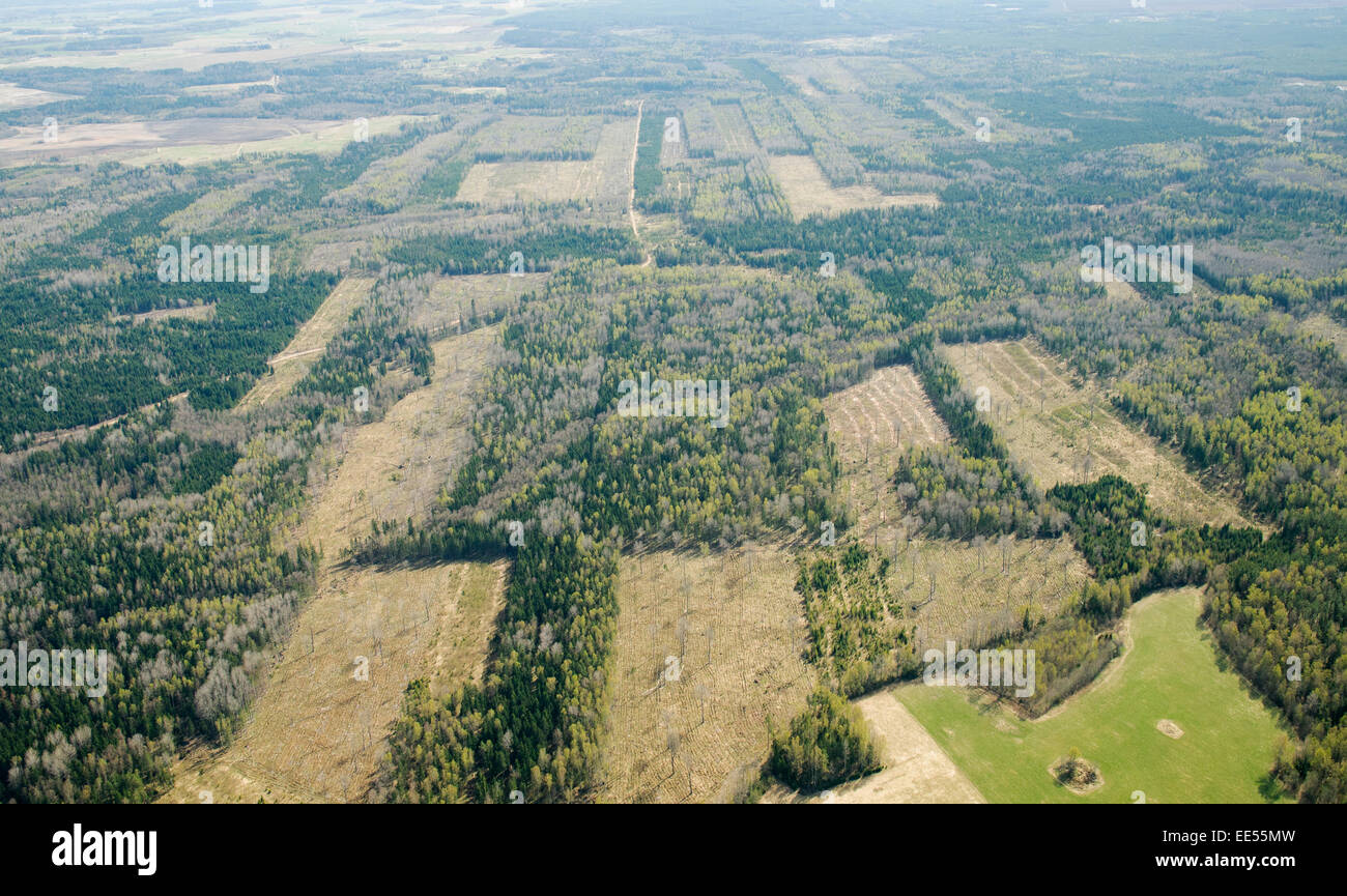 Clearcut forest aerial hi-res stock photography and images - Alamy
