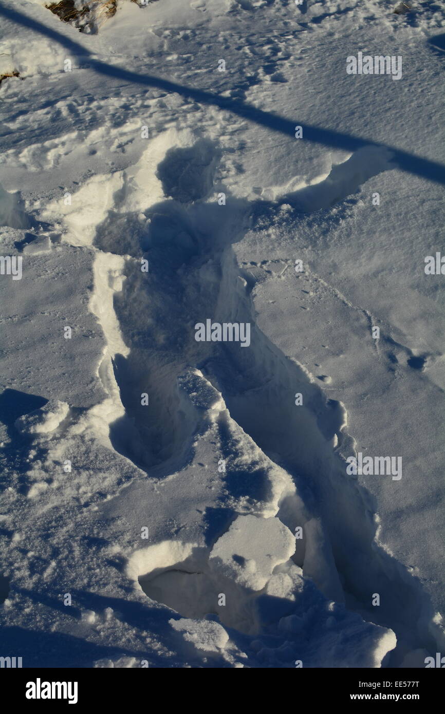 snowy crime scene Stock Photo - Alamy