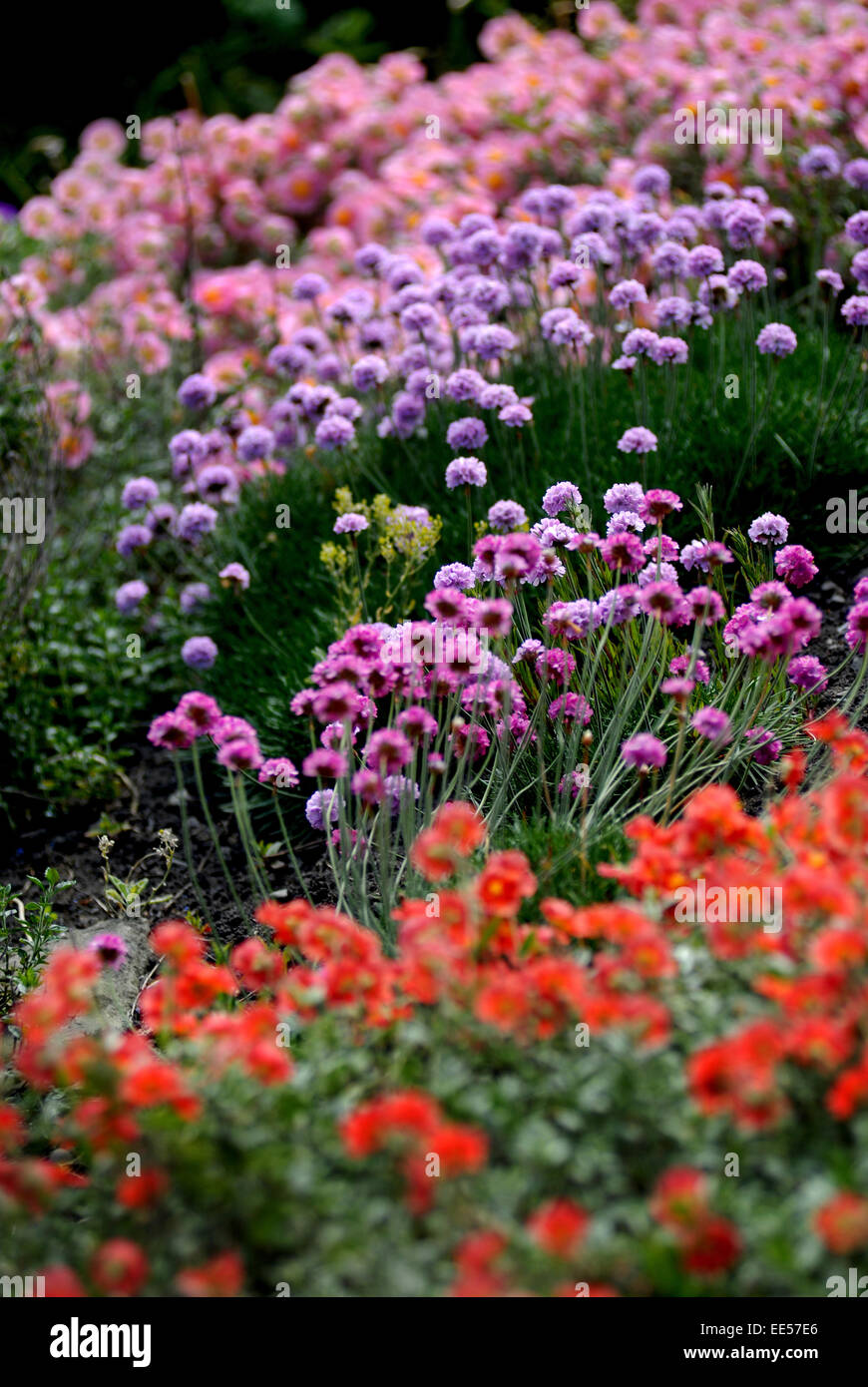 Hexham park, Northumberland Stock Photo - Alamy