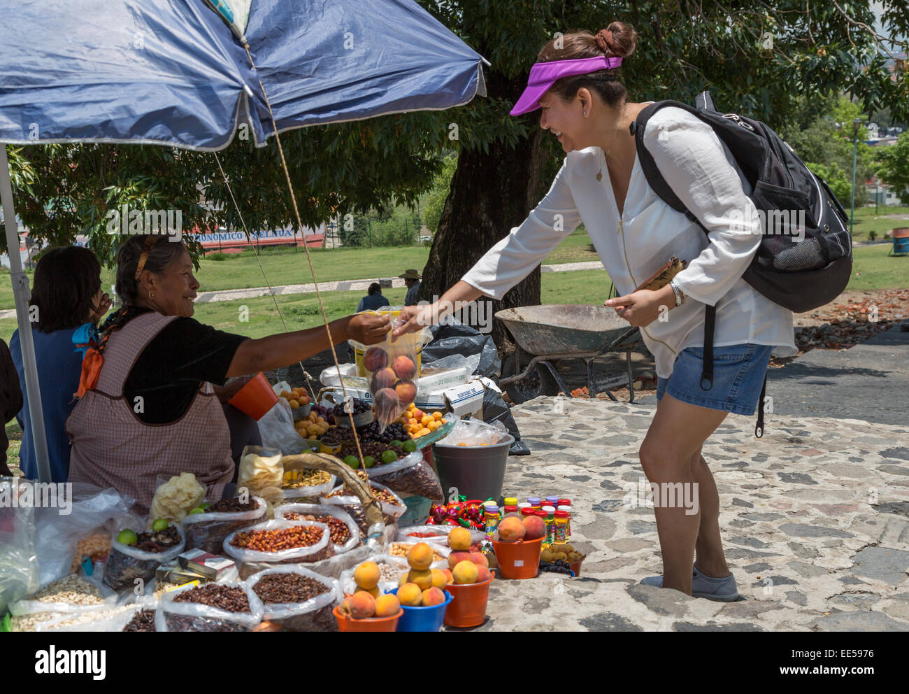 Young Mexican woman buying fruits and vegetables, from a food market ...