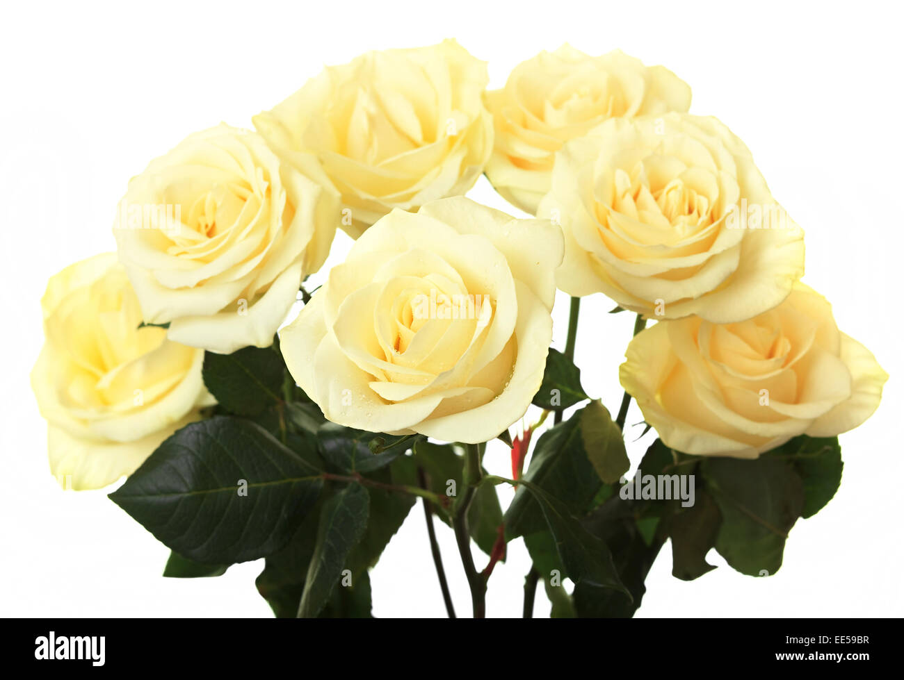 Beautiful bouquet roses Stock Photo - Alamy