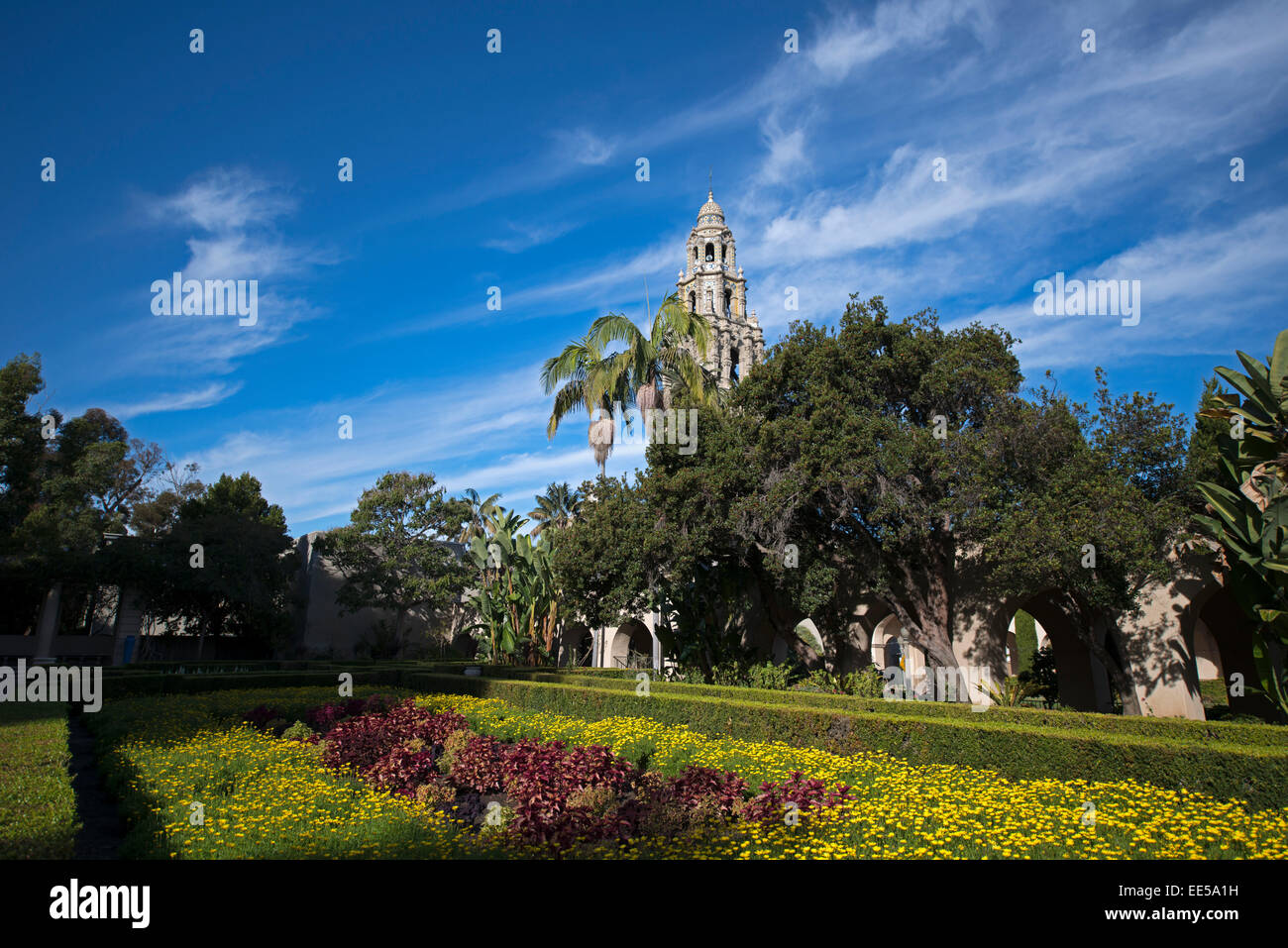 Alcazar Garden, California Tower in Background, Balboa Pack, San Diego ... Alcazar Garden, California Tower in Background, Balboa Pack, San Diego ...