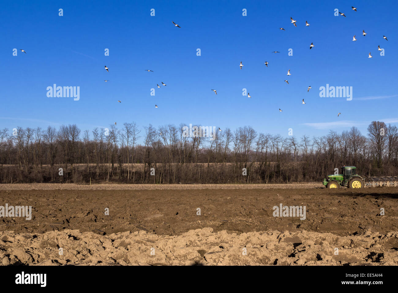 A tractor with plow plowing a piece of land Stock Photo - Alamy