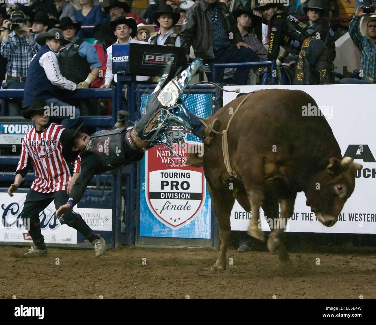 Denver, Colorado, USA. 13th Jan, 2015. Pro Bull Rider LUIS BLANCO of ...