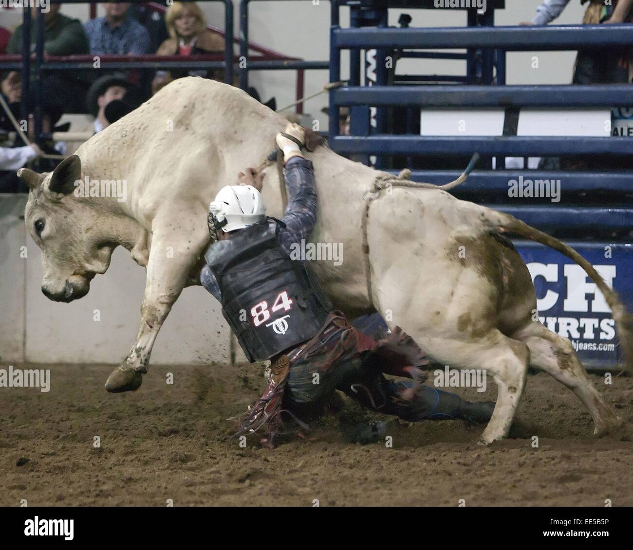 Denver, Colorado, USA. 13th Jan, 2015. Pro Bull Rider JAY MILLER of ...