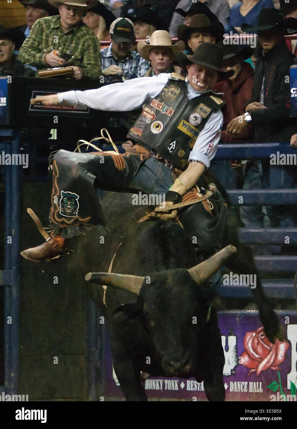 Denver, Colorado, USA. 13th Jan, 2015. Pro Bull Rider RYAN MCCONNEL of ...