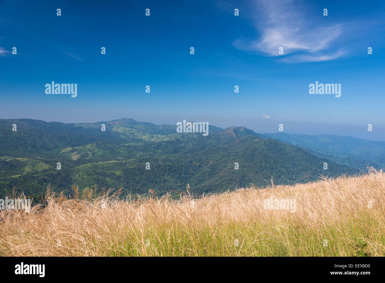 the mountain from sawanna view Stock Photo - Alamy