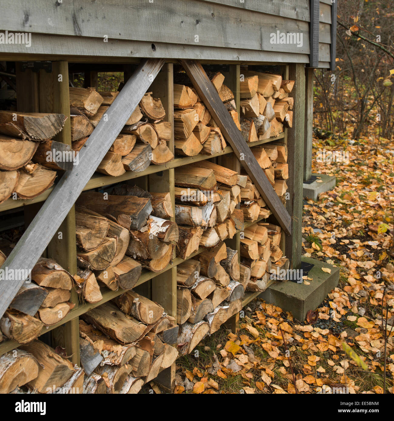 Stack of Firewood, Lake of The Woods, Ontario, Canada Stock Photo - Alamy