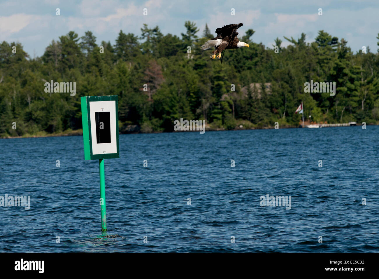 Eagle warning sign hi-res stock photography and images - Alamy