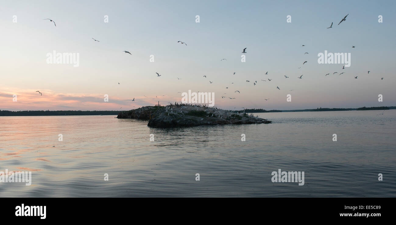 Kenora sunset hi-res stock photography and images - Alamy