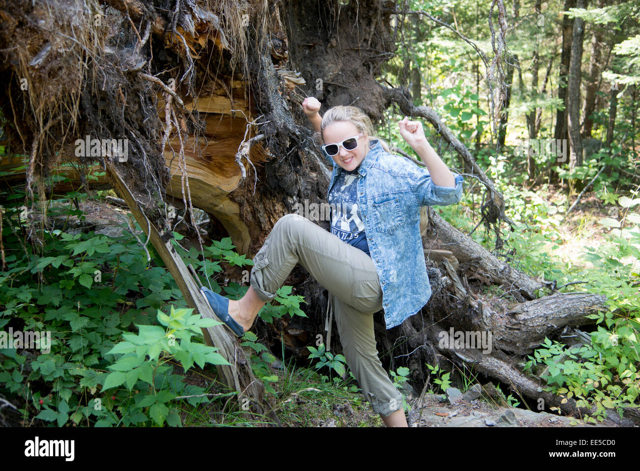 Girl pushing tree stump by foot, Lake of The Woods, Kenora, Lake of The ...