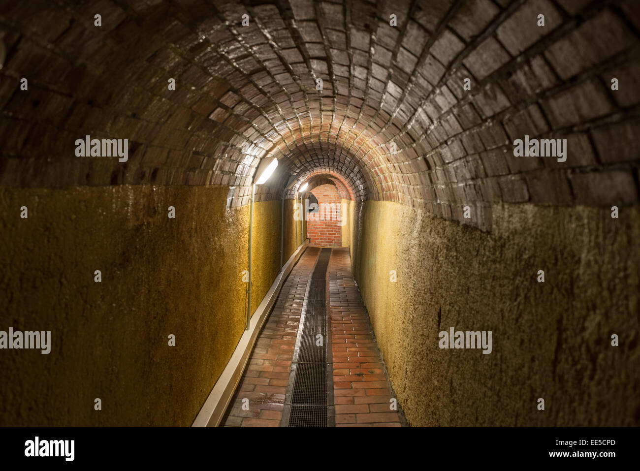 Brewery Pilsen museum, Historical Underground, Pilsen, Czech Republic ...