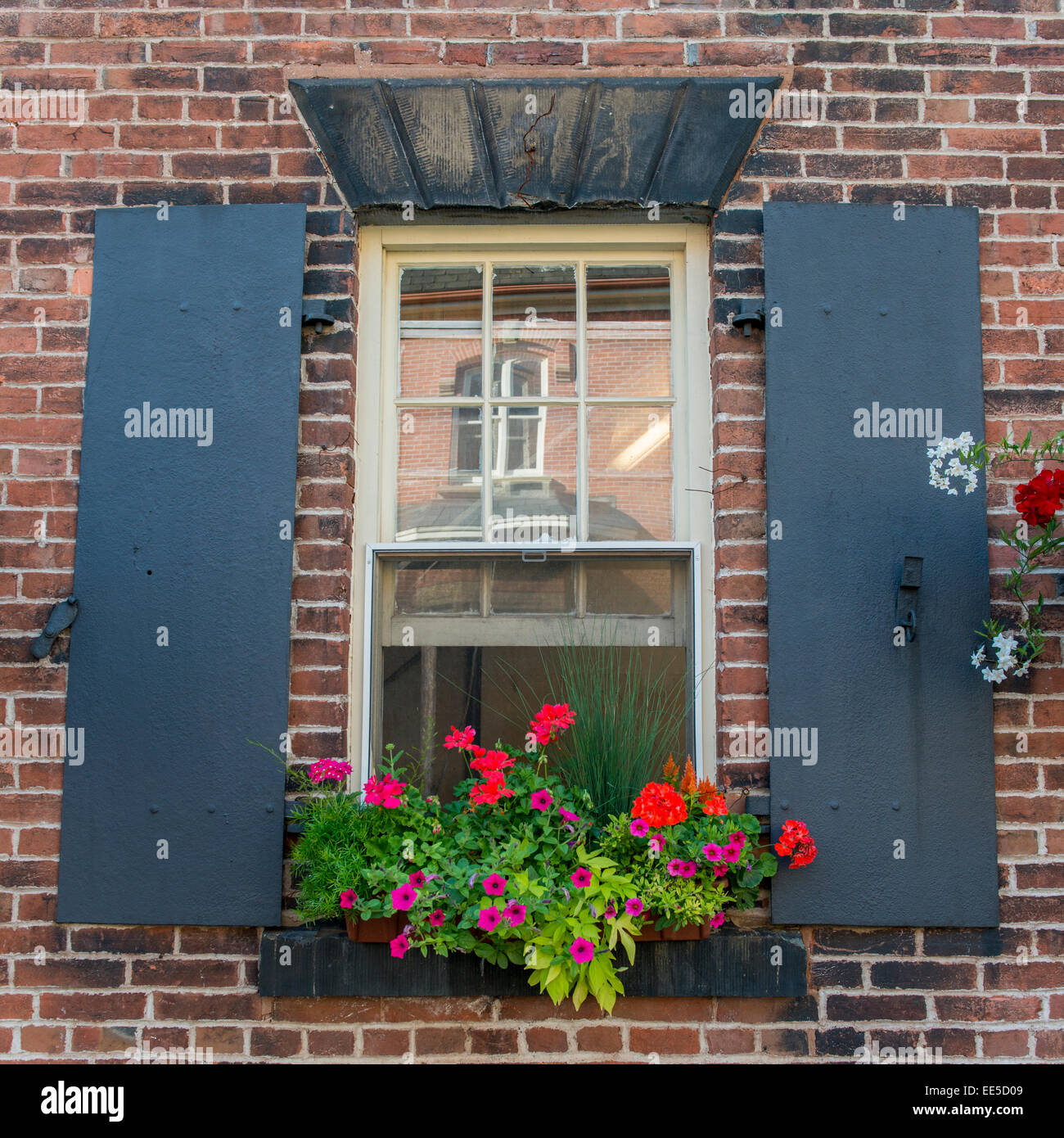 Detail of a window with flowers, Charlottetown, Prince Edward Island ...