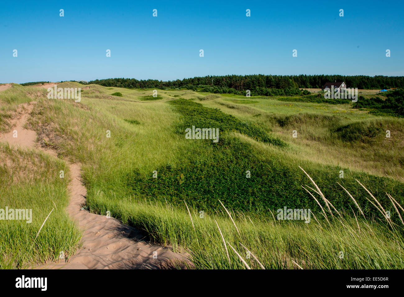 Cavendish Dunelands Trail, Green Gables, Prince Edward Island, Canada ...