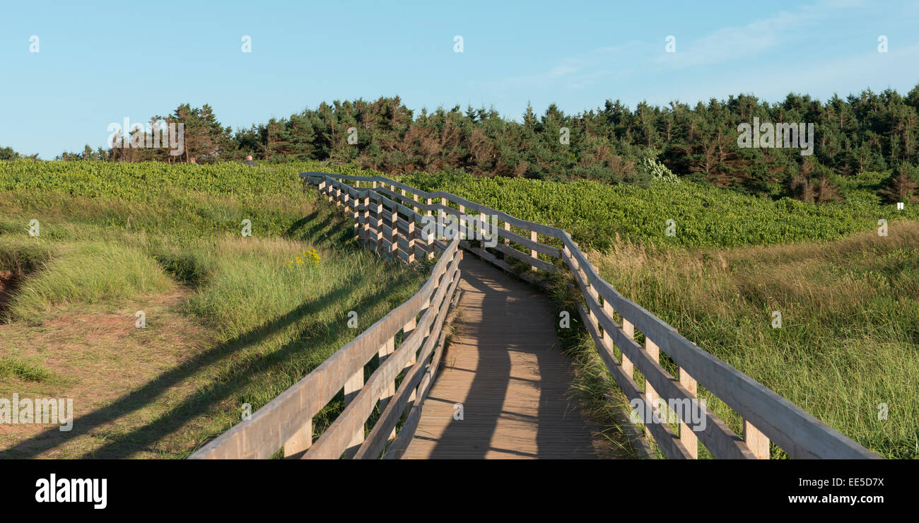 Cavendish dunelands trail hi-res stock photography and images - Alamy