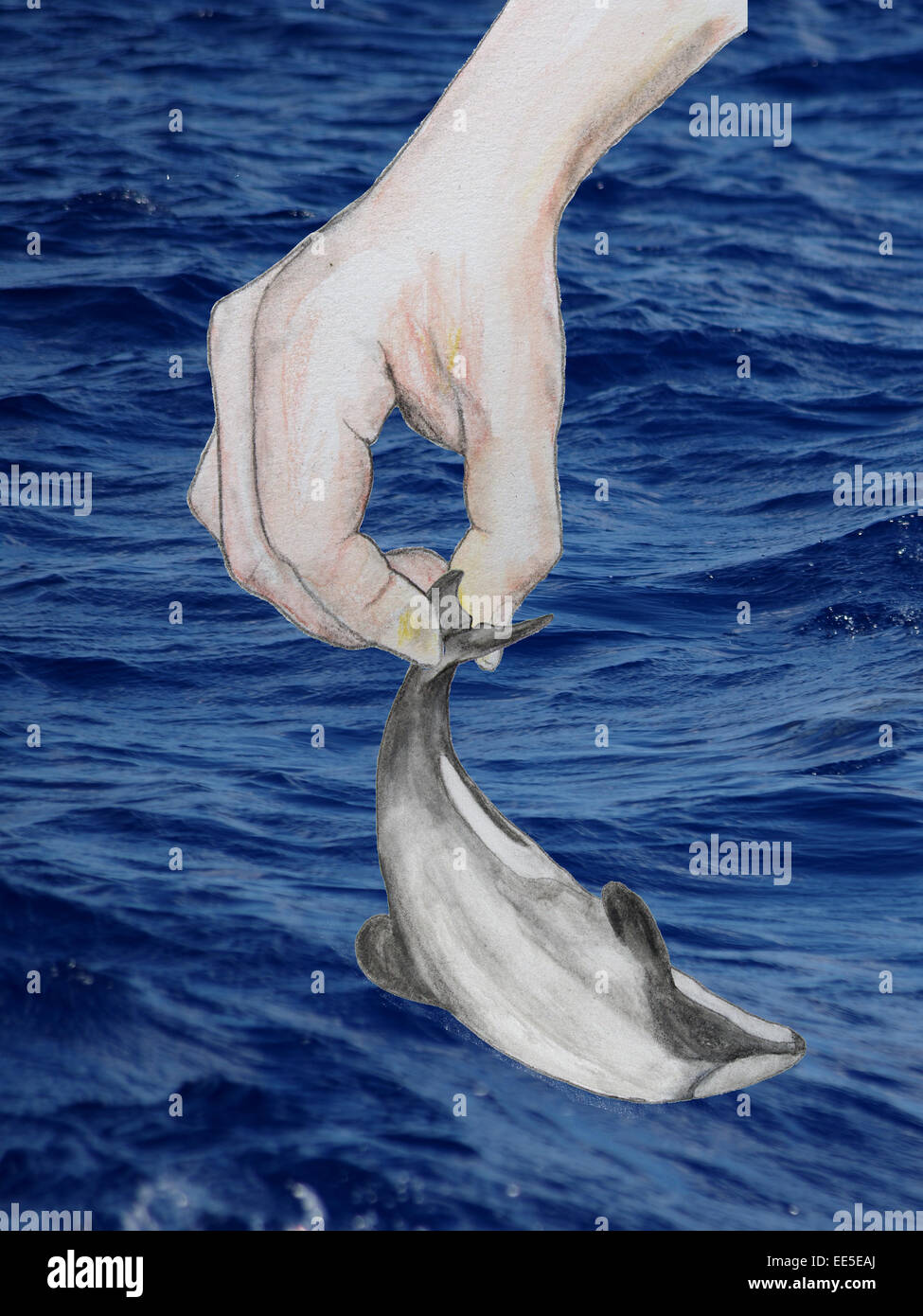 Maui dolphin hi-res stock photography and images - Alamy