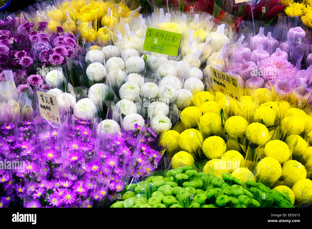 Taiwan flower market hi-res stock photography and images - Alamy