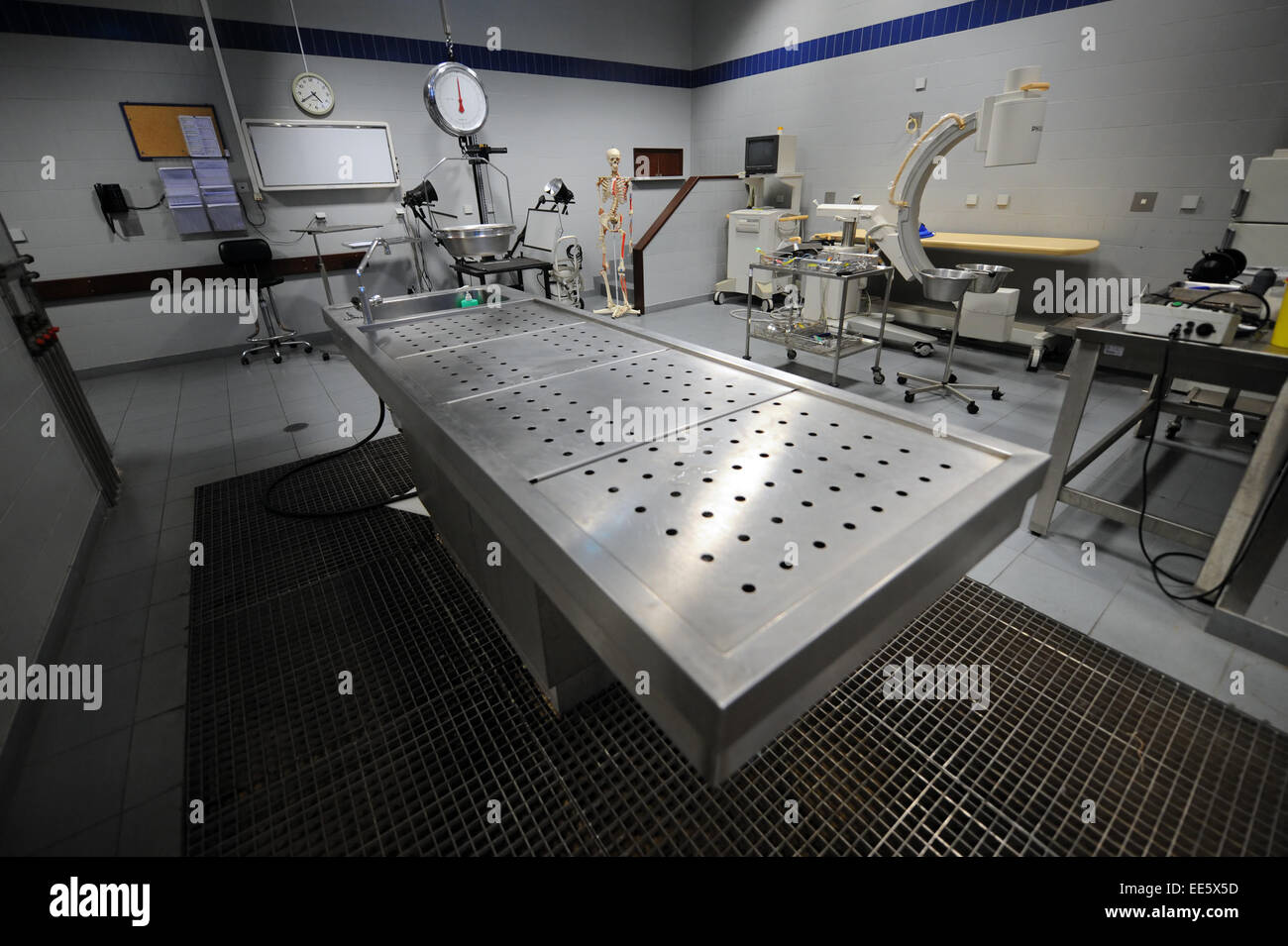 Autopsy room hi-res stock photography and images - Alamy