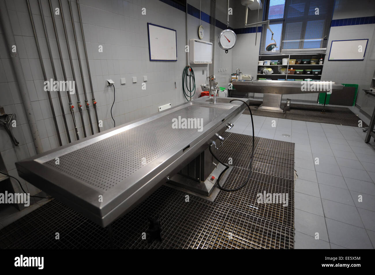 Autopsy table at the morgue Stock Photo - Alamy