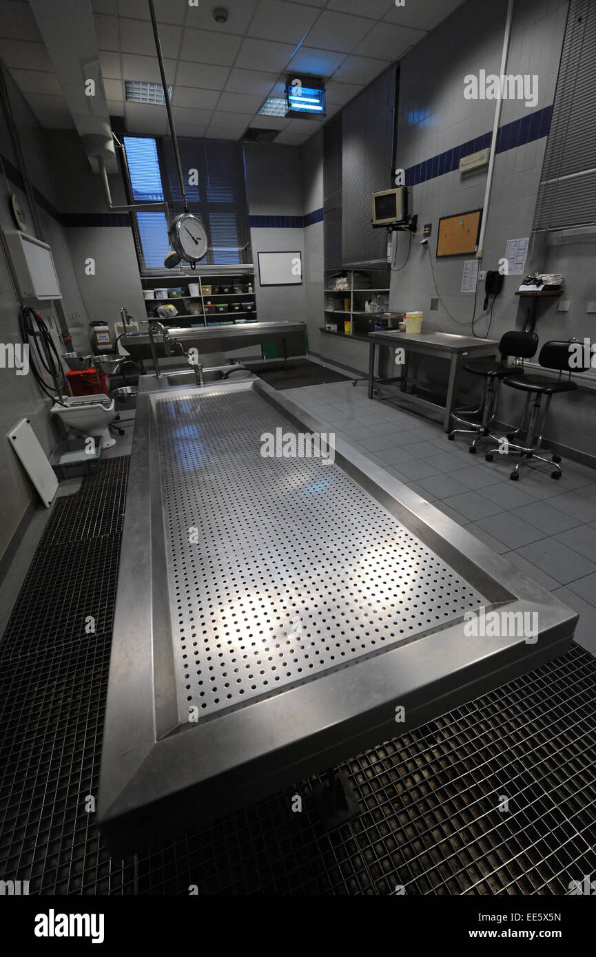 Autopsy table at the morgue Stock Photo - Alamy