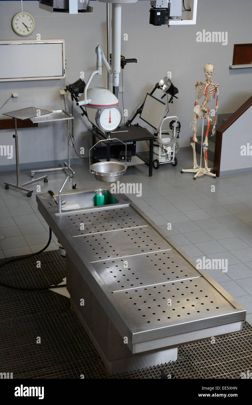 Autopsy tables hi-res stock photography and images - Alamy