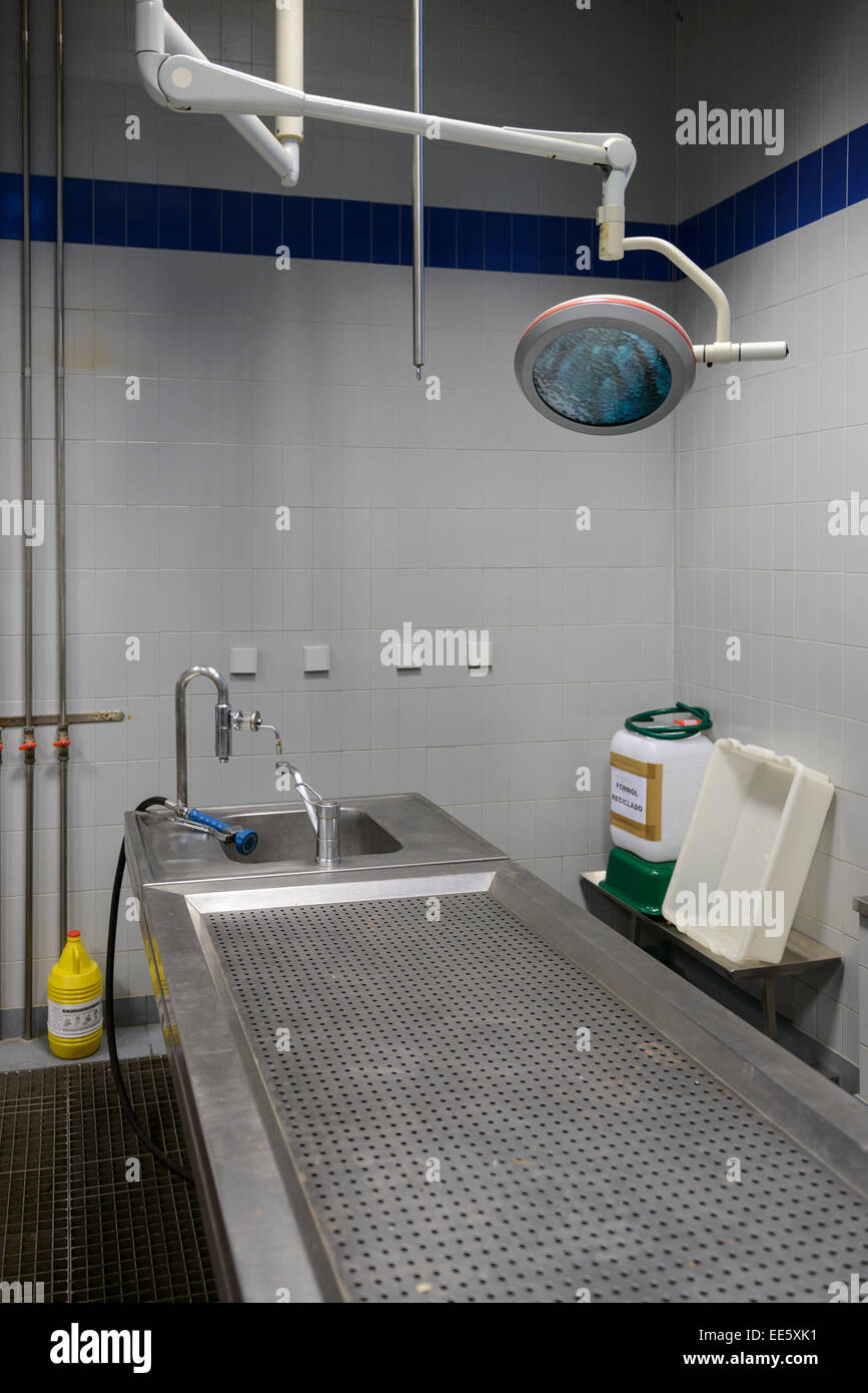 Autopsy tables hi-res stock photography and images - Alamy