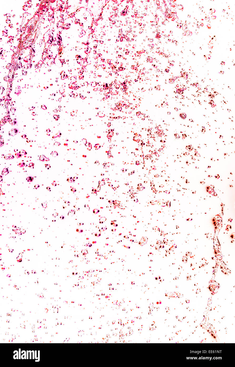 Abstract paint splatter Stock Photo - Alamy