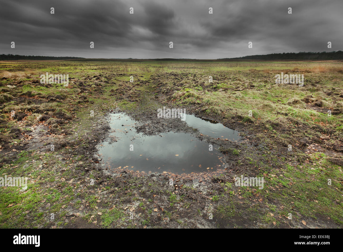 Mud and nature hi-res stock photography and images - Alamy