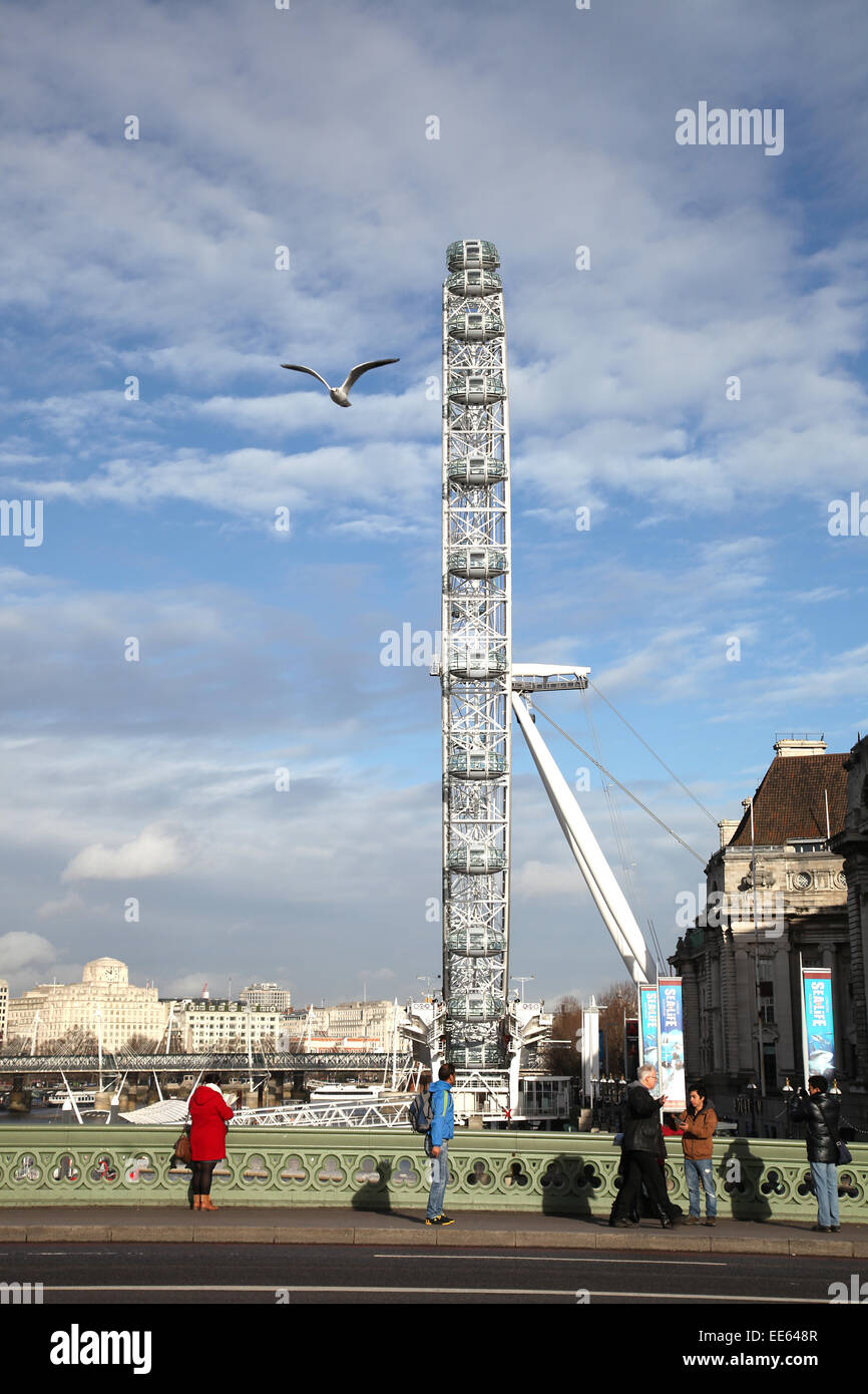 London Eye with seagul Stock Photo - Alamy