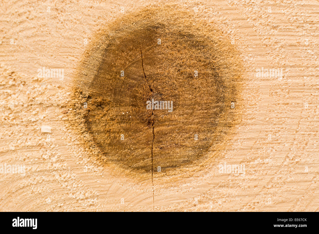 Annual rings ring wooden hi-res stock photography and images - Alamy