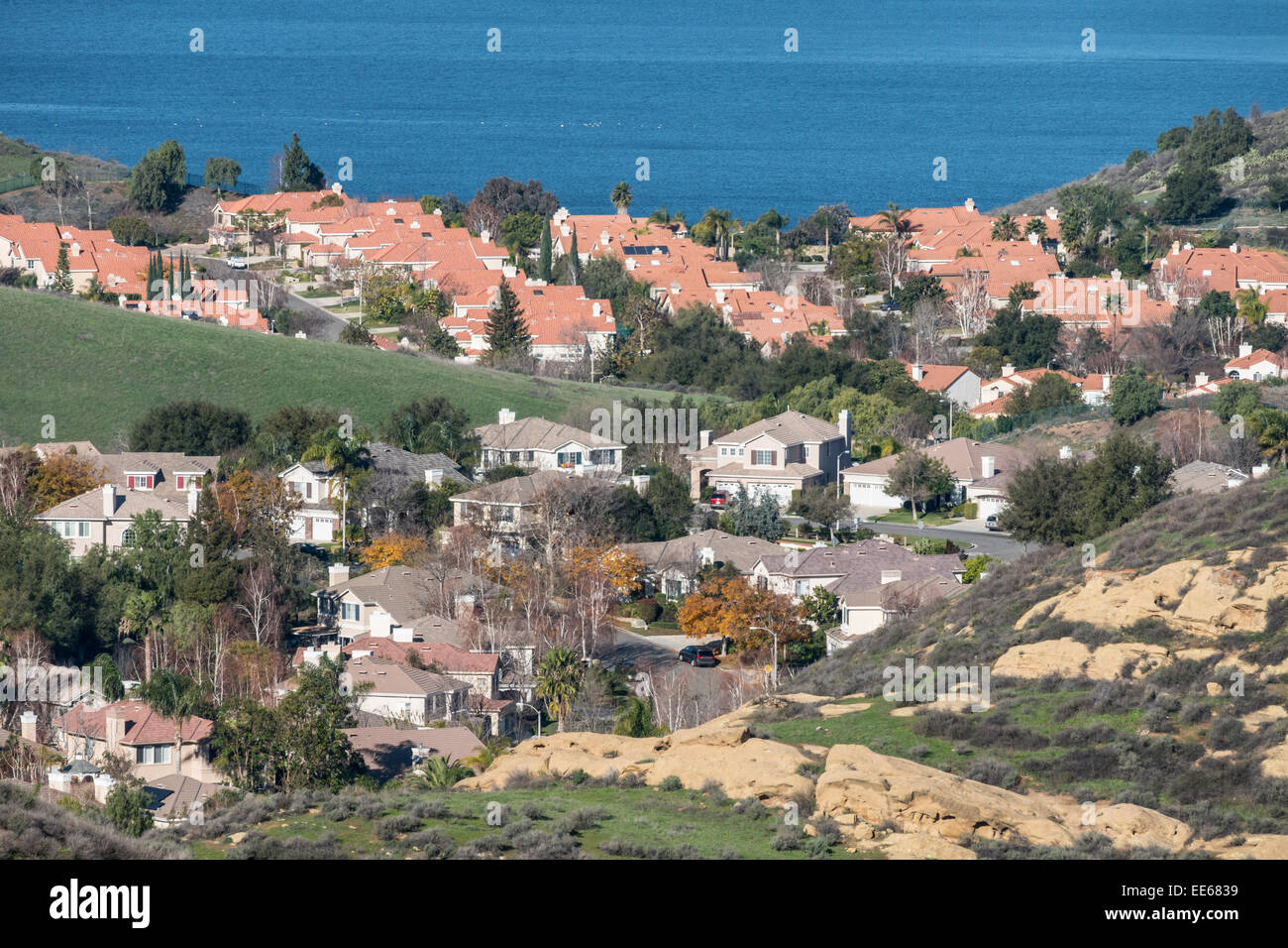 Suburban Community Street