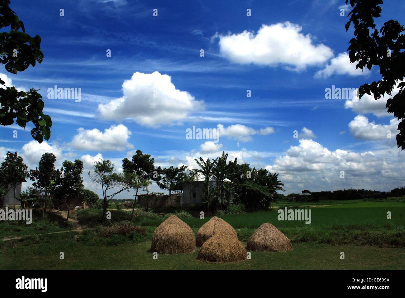 Landscape of bangladesh hi-res stock photography and images - Alamy