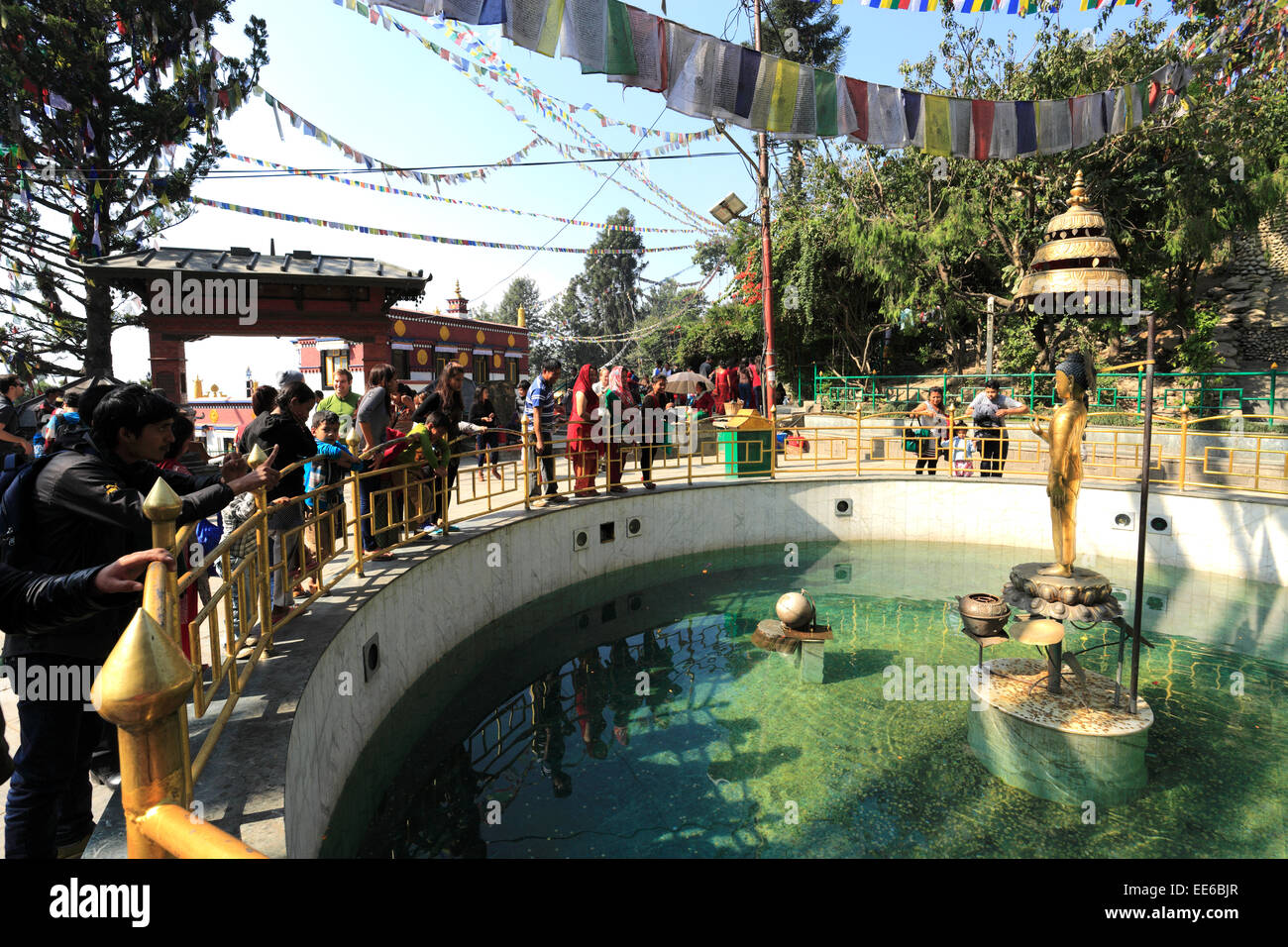 Golden statue of Buddha in the World Peace Pond, Monkey Temple, UNESCO ...