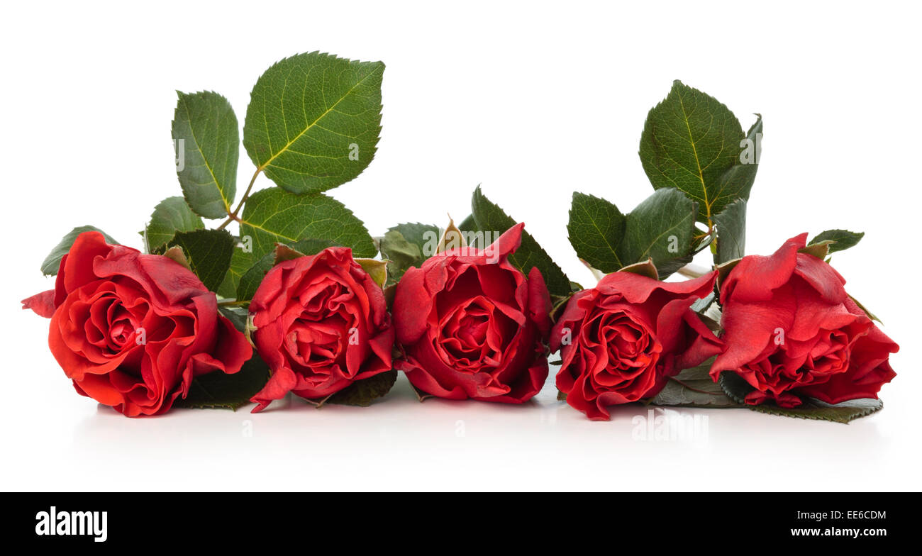 Frame of red roses Stock Photo - Alamy