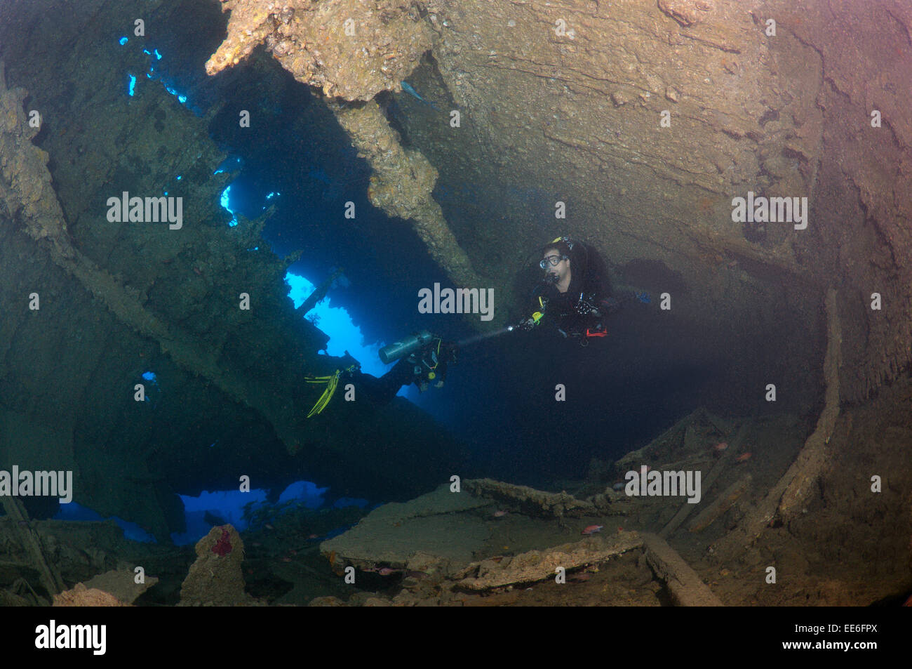 A diver swims in the ship's hold shipwreck "SS Dunraven", Red Sea ...