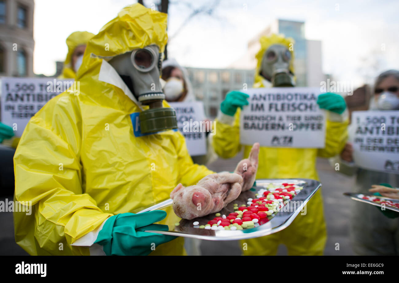 Activists of the animal rights organization 'Peta' wear protective ...