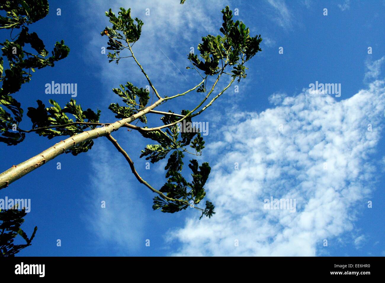 Bangladesh 2015. Blue sky in Dhaka Stock Photo - Alamy