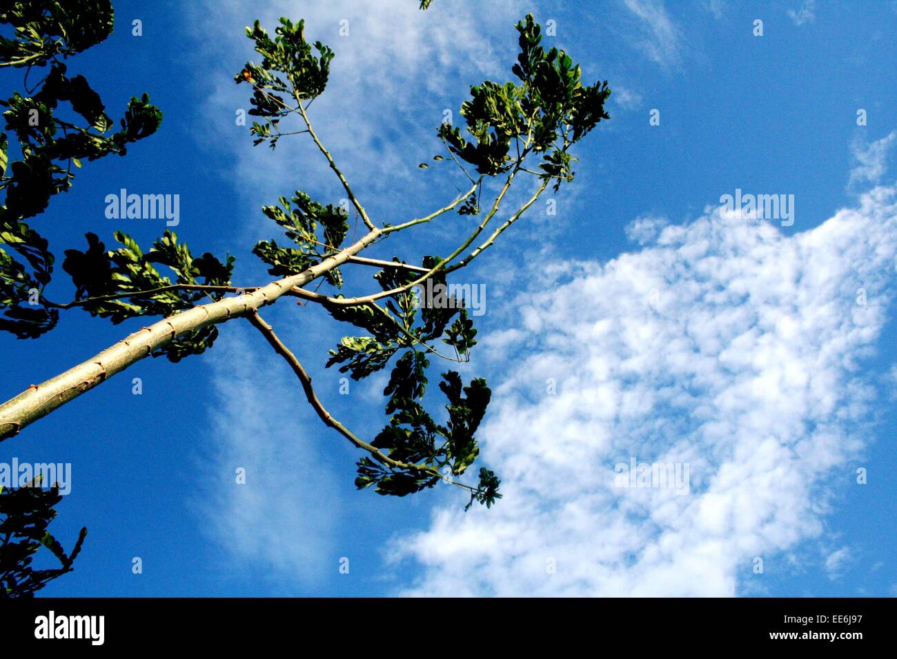 Bangladesh 2015. Blue sky in Dhaka Stock Photo - Alamy