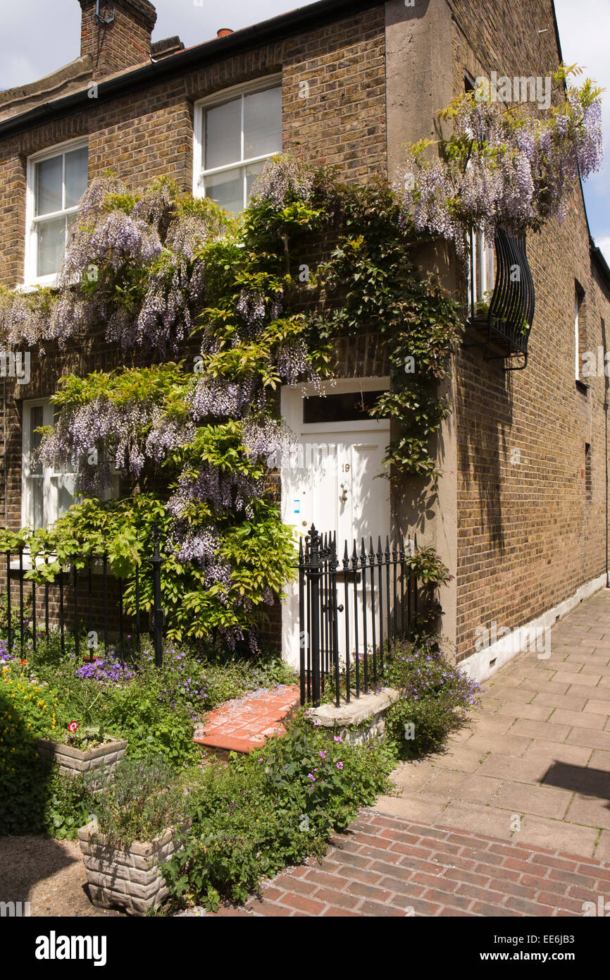 UK, London, Twickenham, Flood Lane, wisteria-hung terraced riverside ...